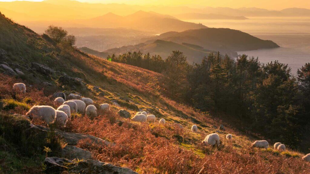 Camping pas cher au Pays Basque | Les tarifs du camping Ibarron